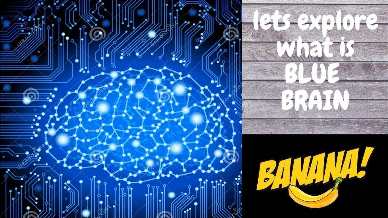 Blue Brain | Introduction and Concepts | English - YouTube