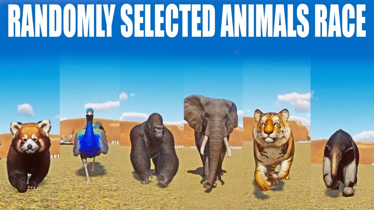 Randomly Selected Animals Speed Race in Planet Zoo included Tiger ...
