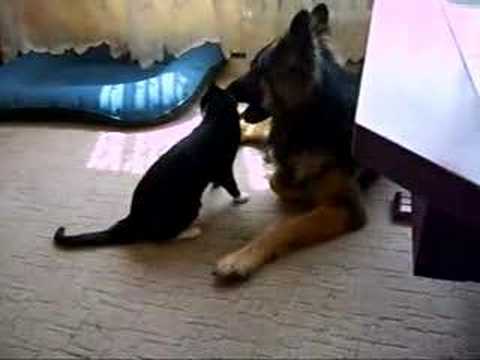 wspolna zabawa 2 - YouTube