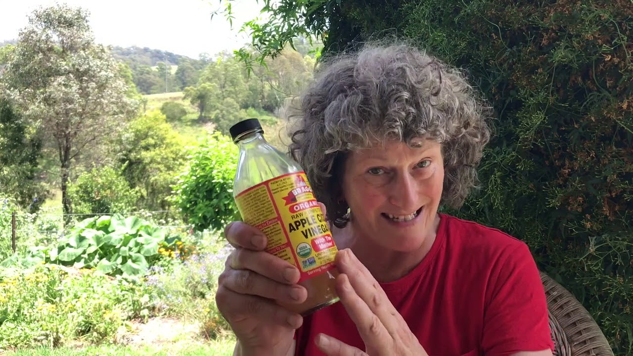 Chook Chat 7 - Build a chookie tree, about ACV, fluffiest scrambled ...