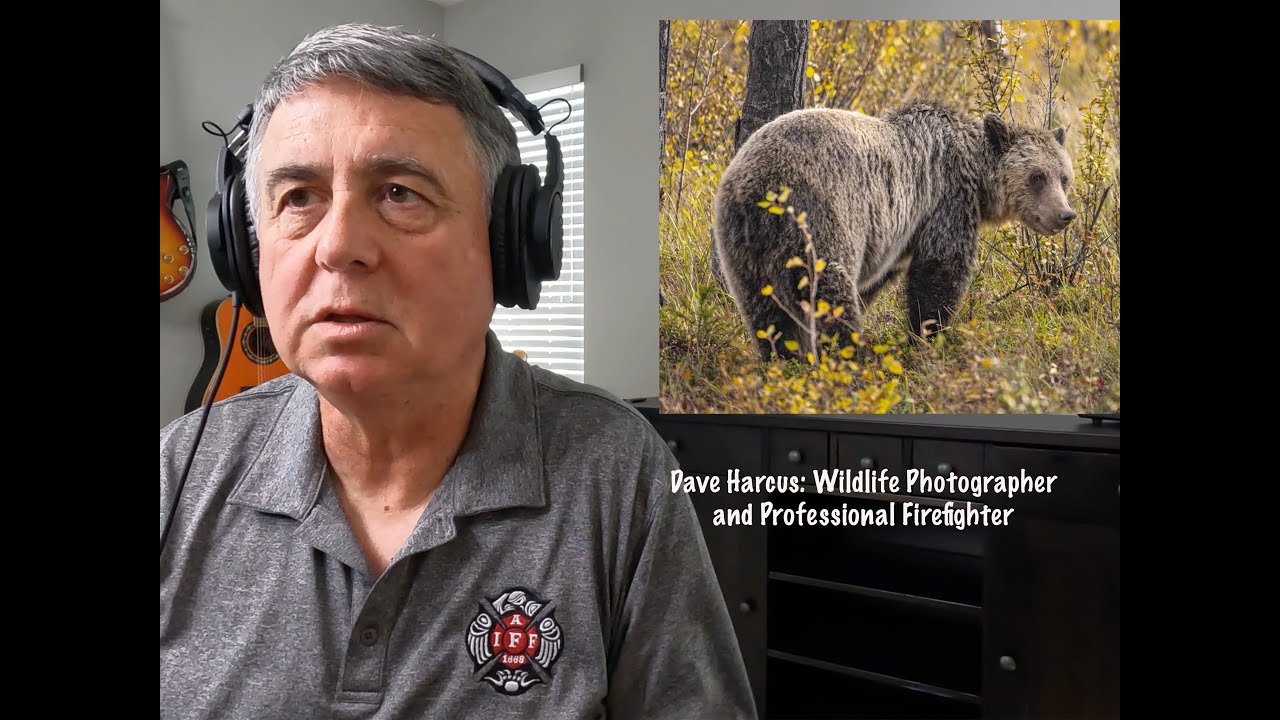 Ep #3 Coffee Expeditions: Dave Harcus - Wildlife Photographer ...