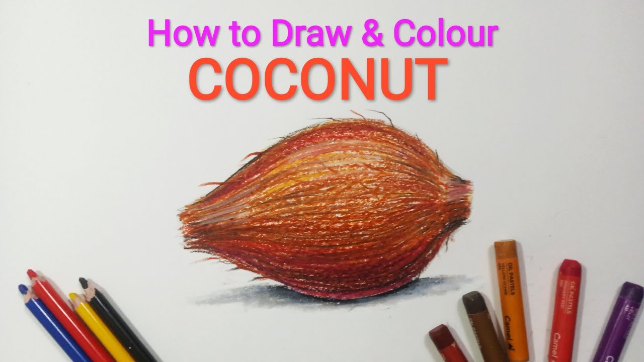 How to Draw and Colour COCONUT for Elementary, Intermediate Exam ...