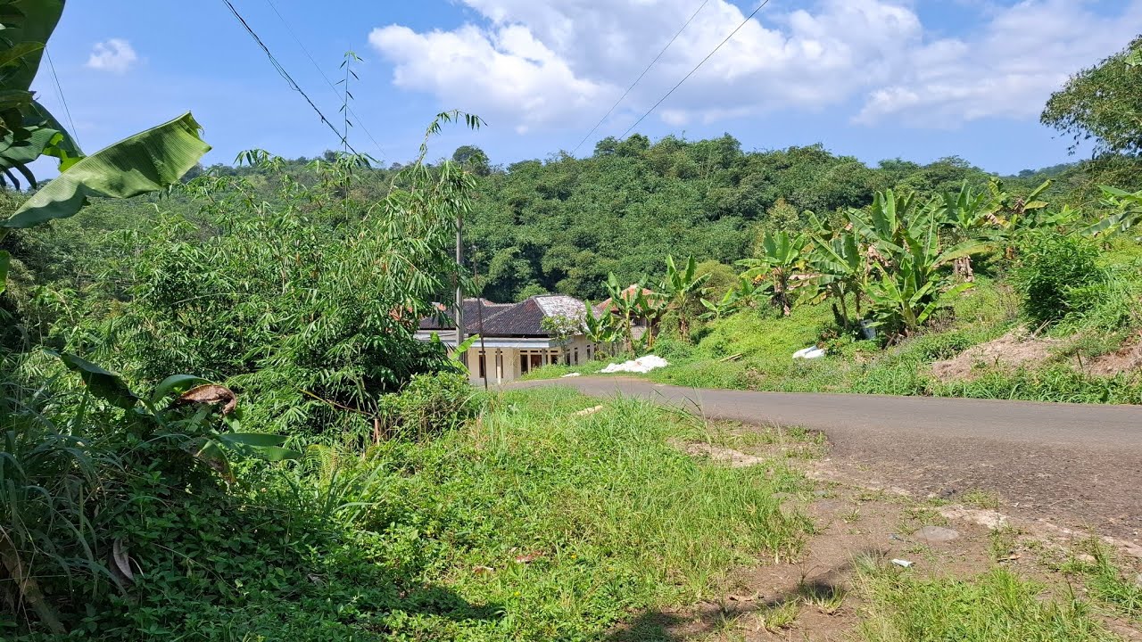 Dijual lahan dan bangunan luas tanah 4000 meter surat ajb harga Rp 200. ...