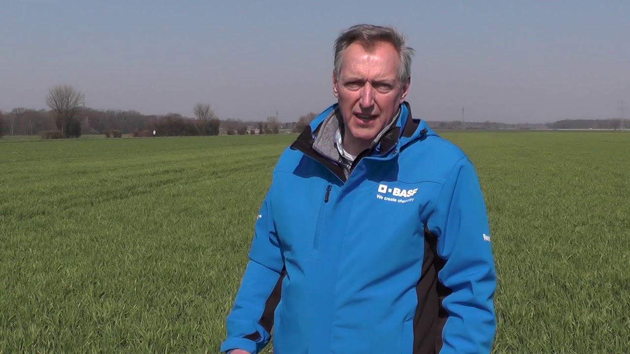 Empfehlungen zum Einsatz von PRODAX© in Wintergerste! - YouTube