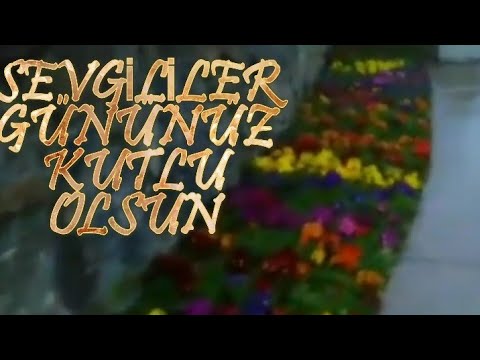 Sevgililer  günü / Eğlenceli Çocuk Videoları / Gürcü beybiler