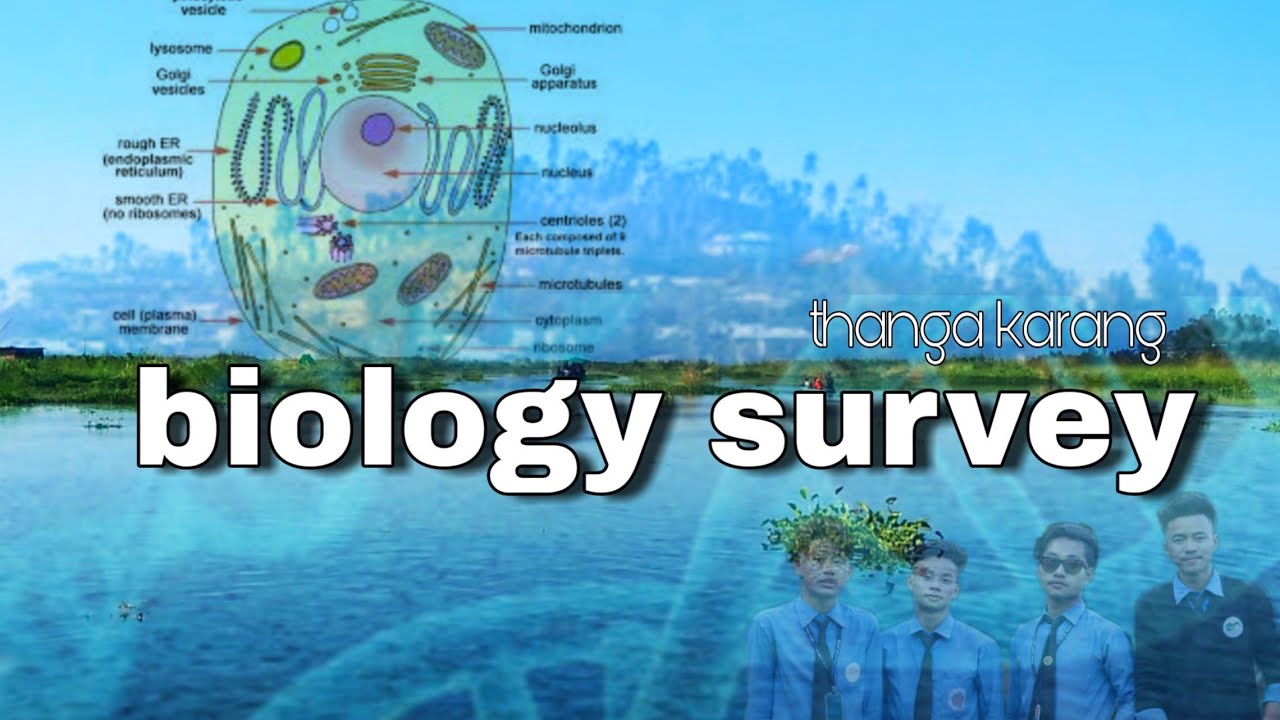 Biology survey@ thanga karang - YouTube