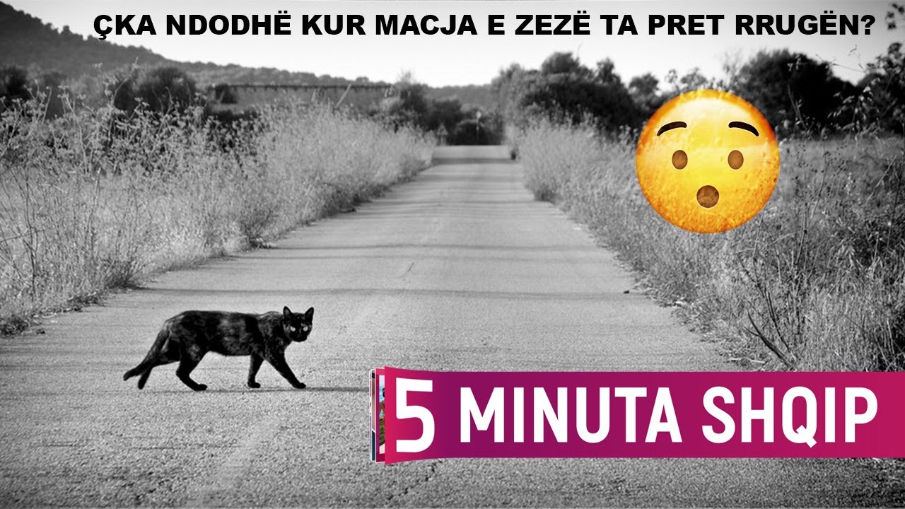 Çka ndodhë kur macja e zezë ta pret rrugën - Kuriozitet - YouTube