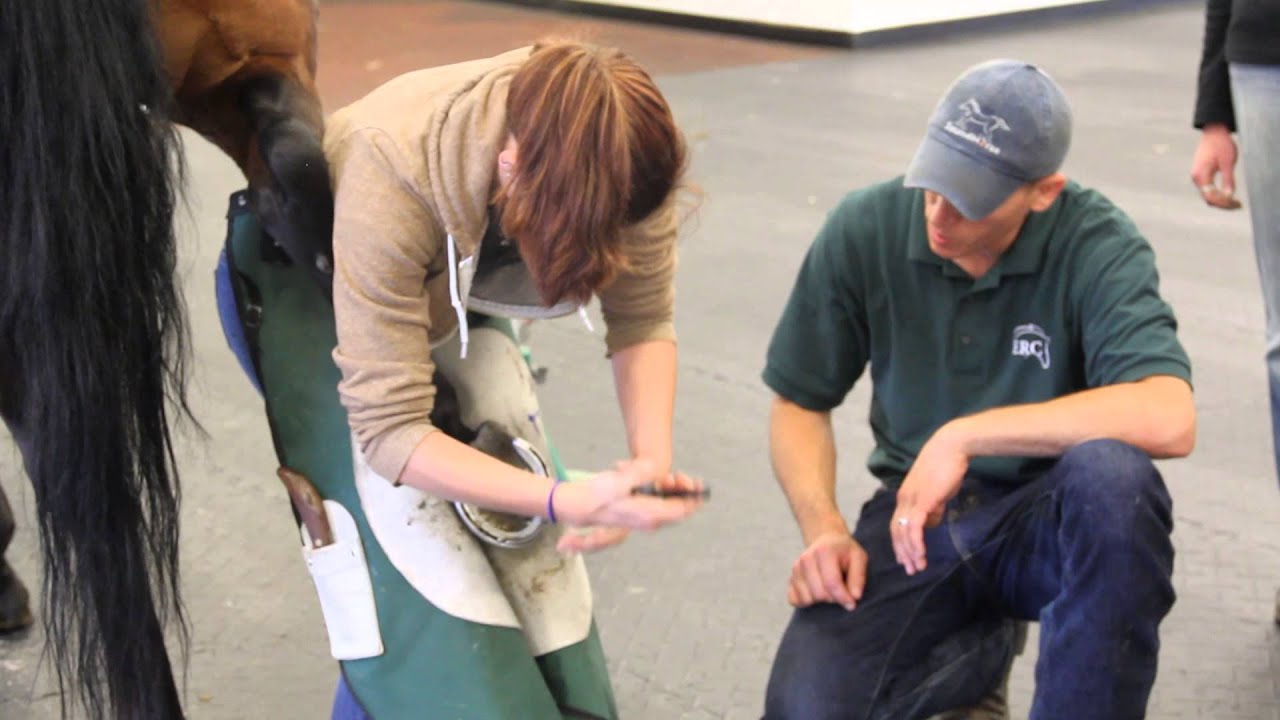 Equine Rehabilitation Center | Farriering Workshop - YouTube