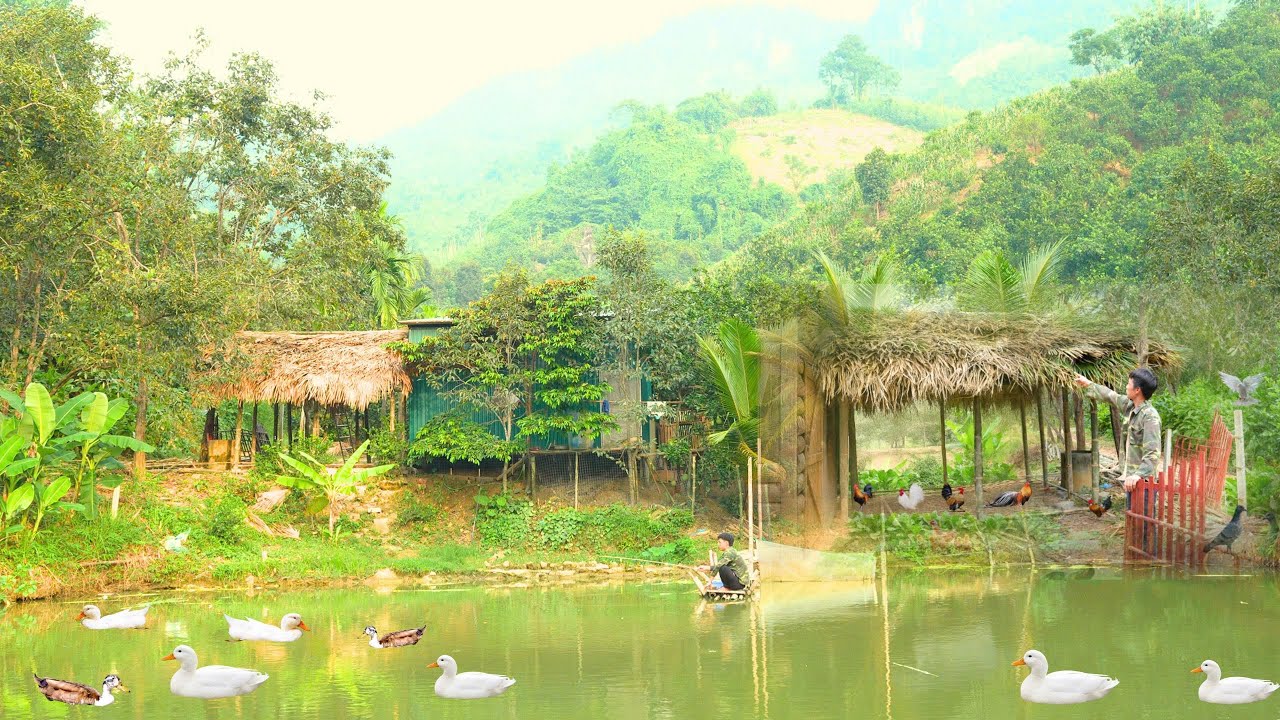 Full video 100 Days of Hard Work – Building a Self-Sufficient Farm from ...