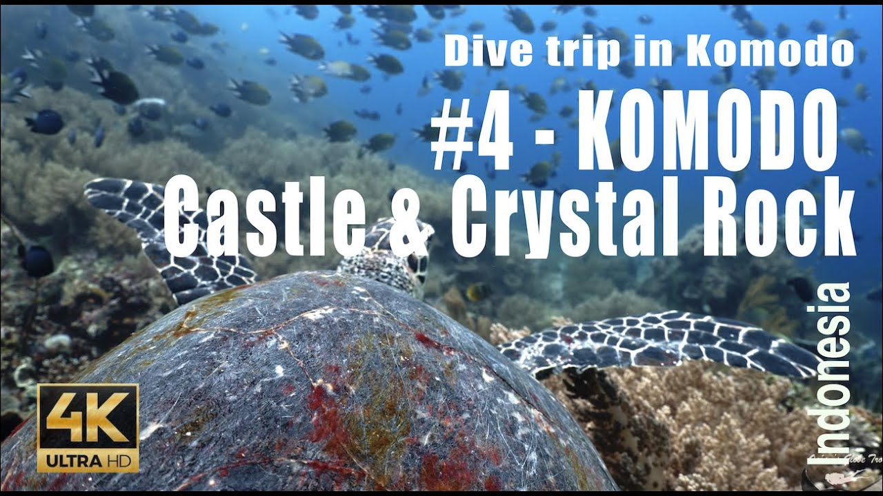 Komodo #4 : Dive on « Castle Rock & Crystal Rock » Komodo archipelago ...