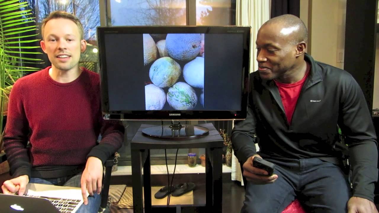 I force youtuber, Josh Rimer, to take a vegan diet seriously! - YouTube