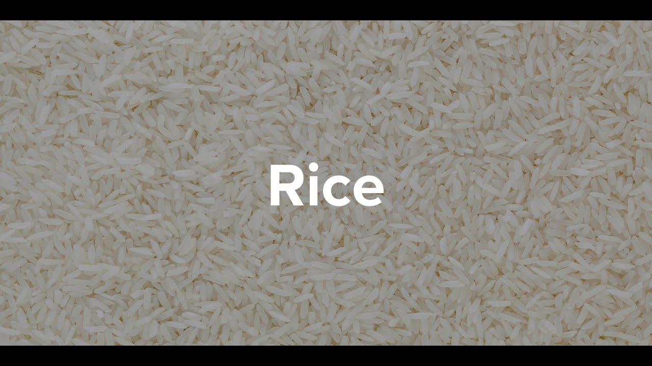 Growing Rice as a Way to Solve Hunger - YouTube