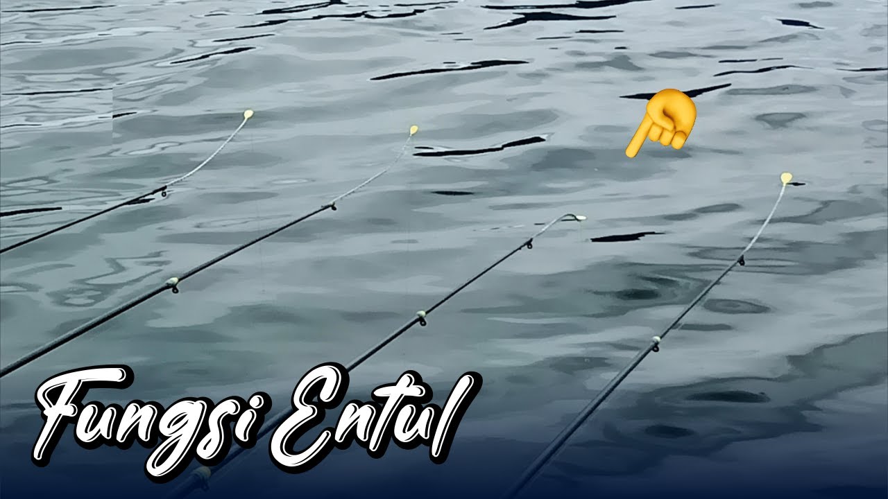 Fungsi Dan Kegunaan Entul Pada Joran || Mancing Wadaslintang Terbaru ...