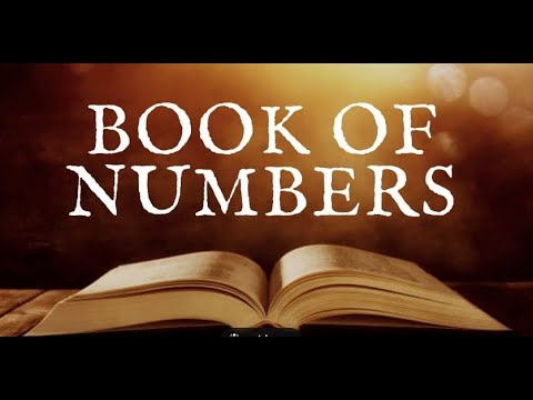 Book of Numbers 18 & 19 - YouTube