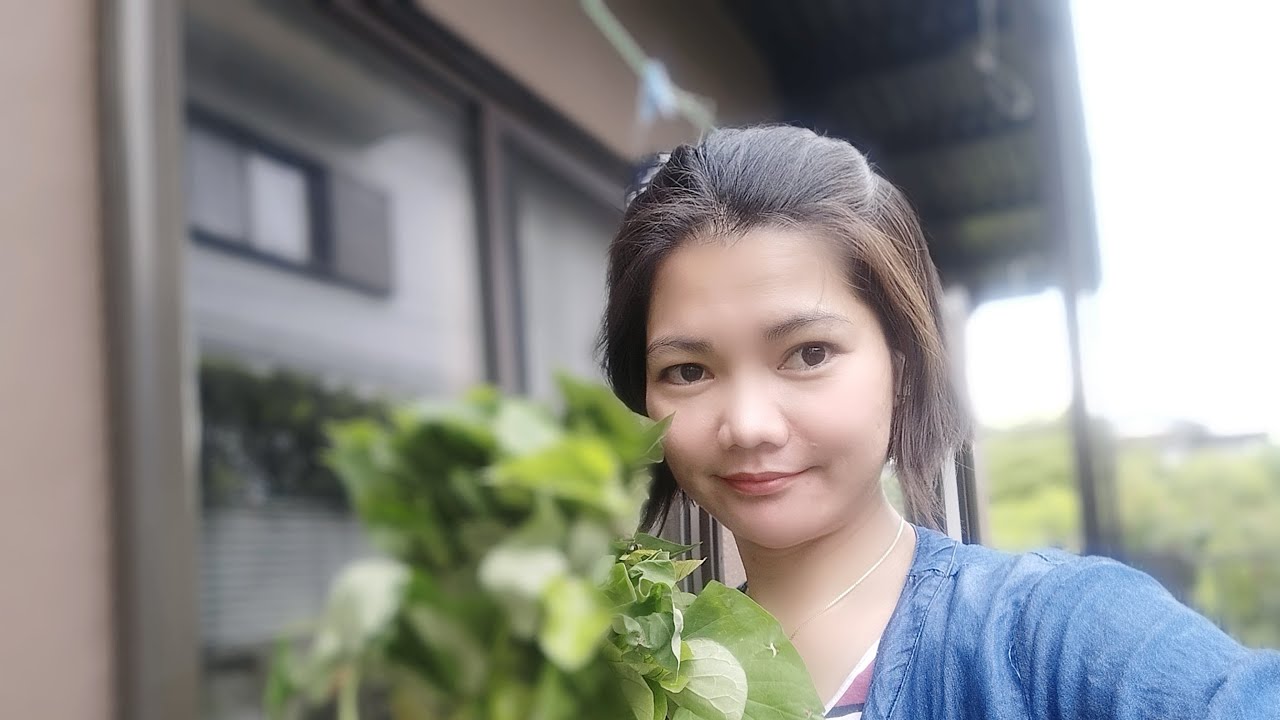 Kinakamote kana ba? Let's plant kamote - YouTube