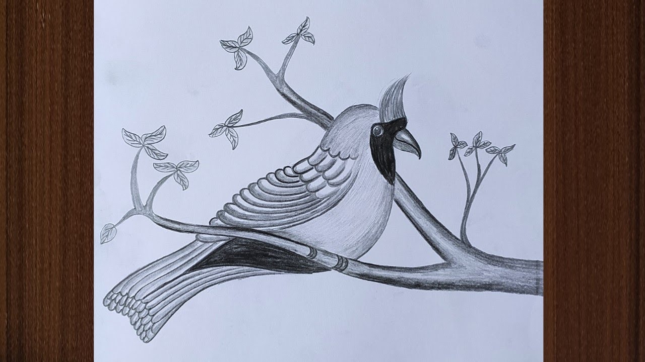 How to art. pencil Diye Sundar akti pakir gache boshe Thakkar drawing ...