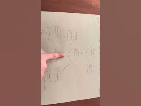 Four Part Processing Model - YouTube