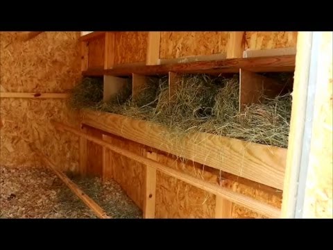 Building Nesting Boxes for the Hen House at the Preppers Retreat - YouTube