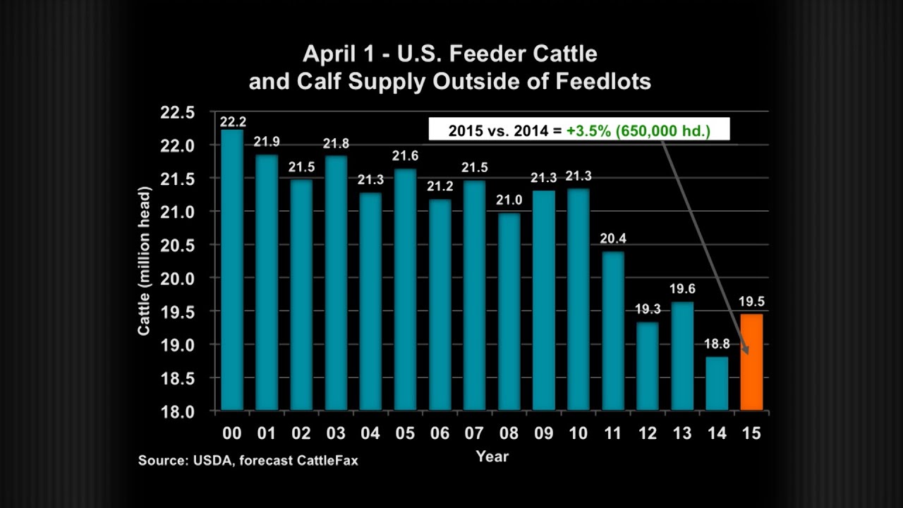 The Angus Report, May 25, 2015: CattleFax Market Update - YouTube