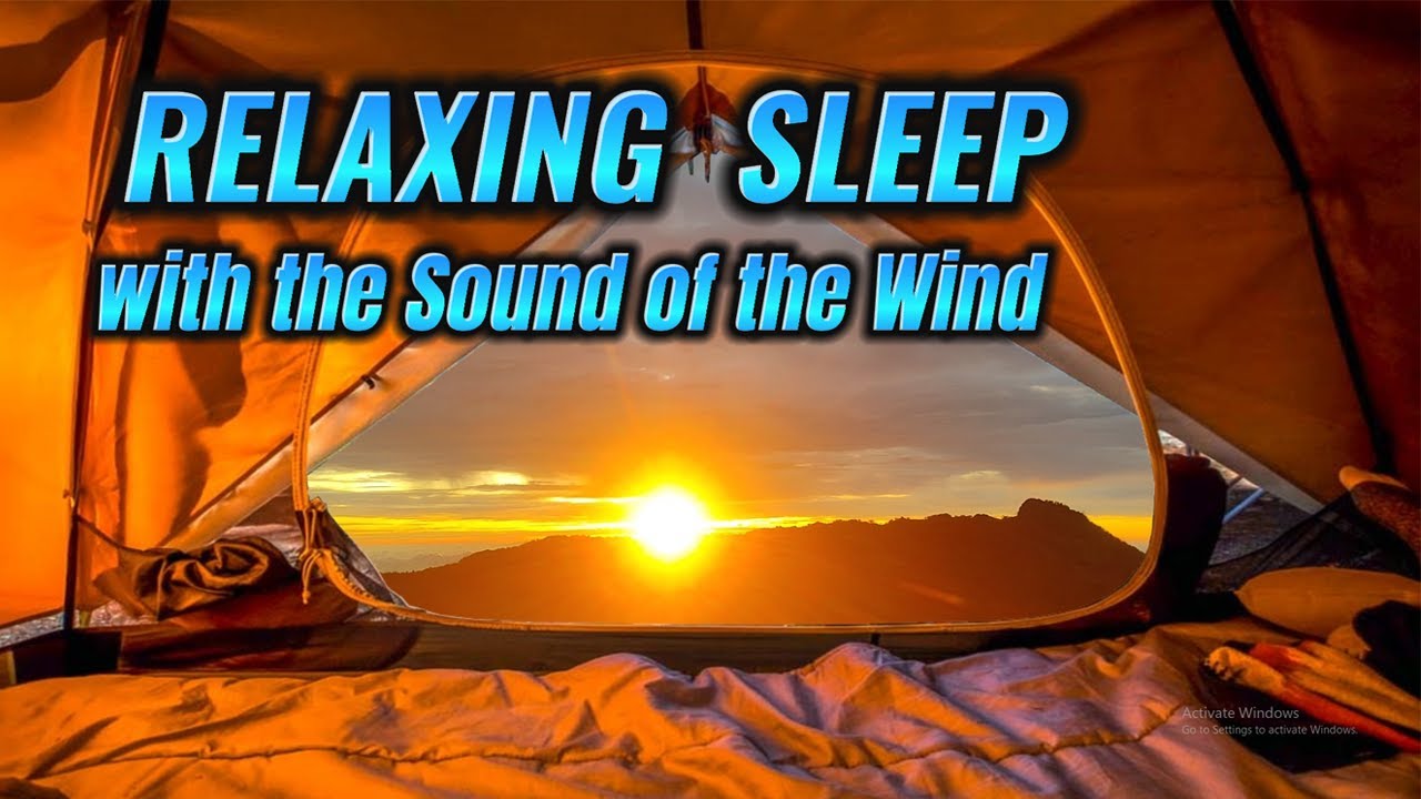 Calm the Soul with the Sound of the Wind and Birds: Nature-style ...