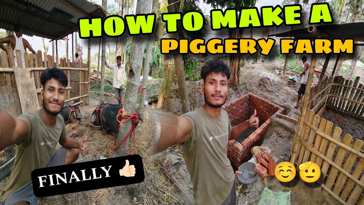 HOW TO MAKE A PIGGERY FARM // আপুনিও এনেকৈ বানাওক PIGGERY FARM - YouTube