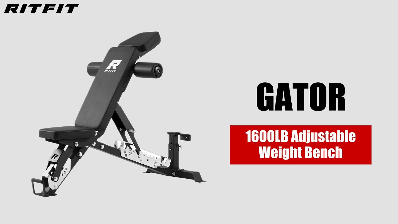 RITFIT | GATOR 1600LB Adjustable Weight Bench - YouTube