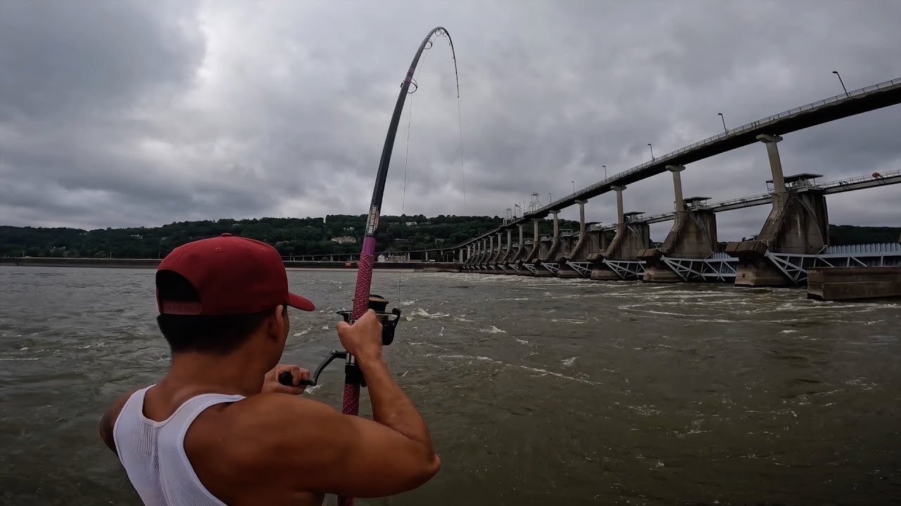 Fishing With Fresh Shad On The Arkansas River! (It's Finally Starting ...