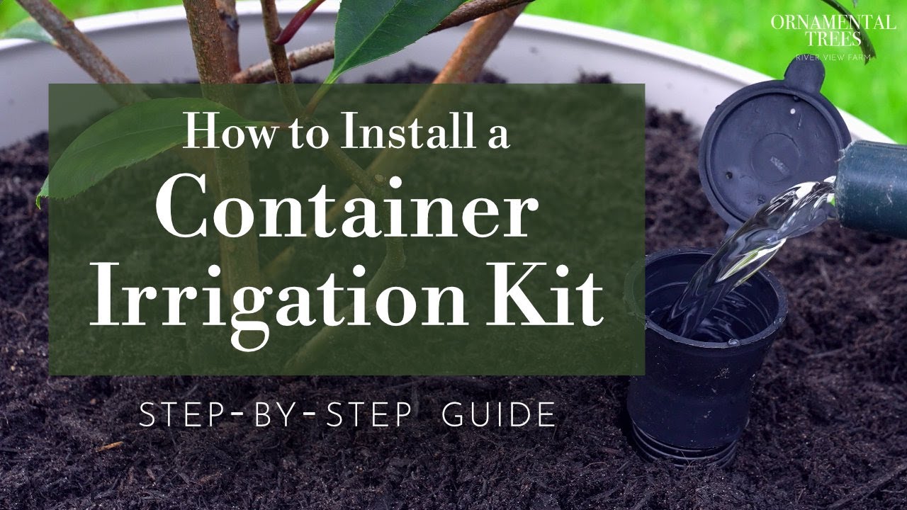 How to Easily Install an Irrigation Kit for Trees Planted in Containers ...