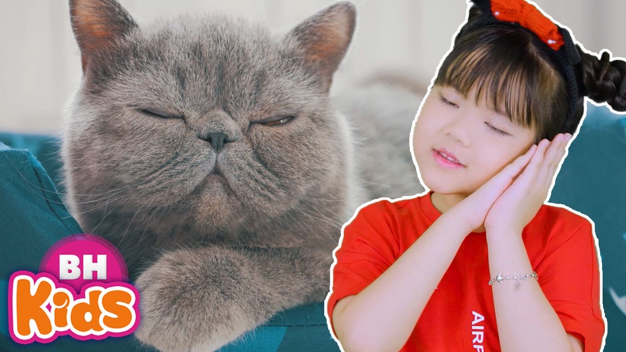 Bài Hát Thiếu Nhi CON MÈO Vui Nhộn Cho Bé - Mèo Lười, Con Mèo Mà Trèo ...