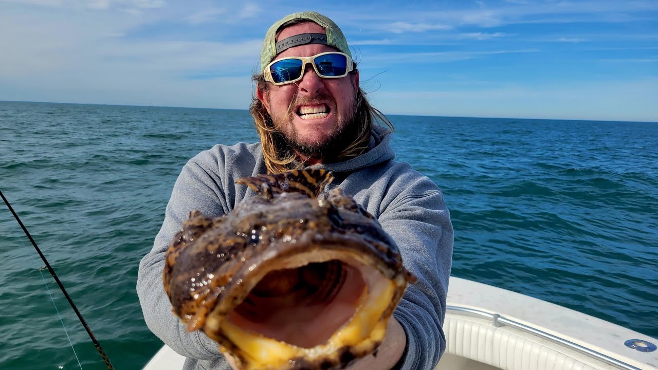 LOTS of sea bass, a few tautog, and this giant TOAD! Virginia Beach ...