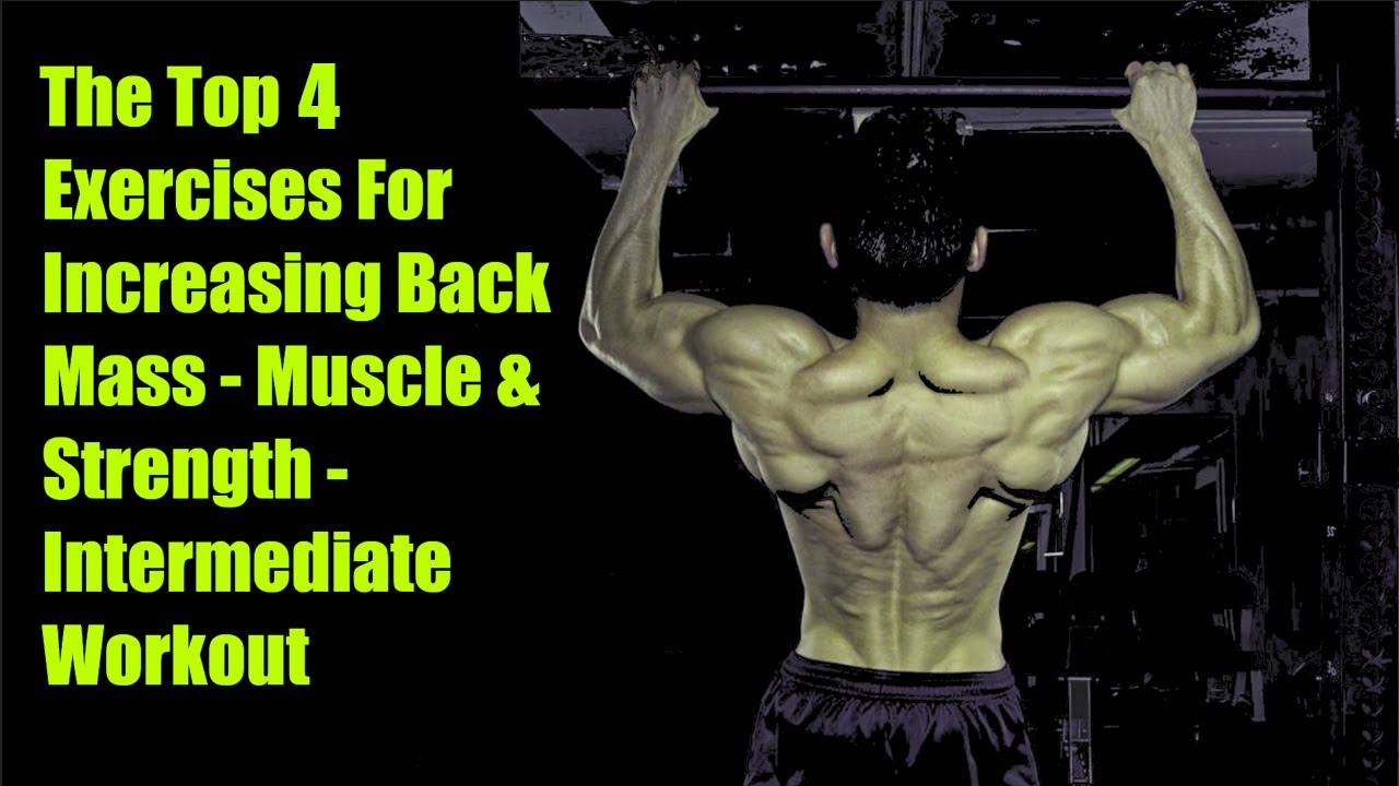 The Top 4 Exercises For Increasing Back Mass - Muscle & Strength ...