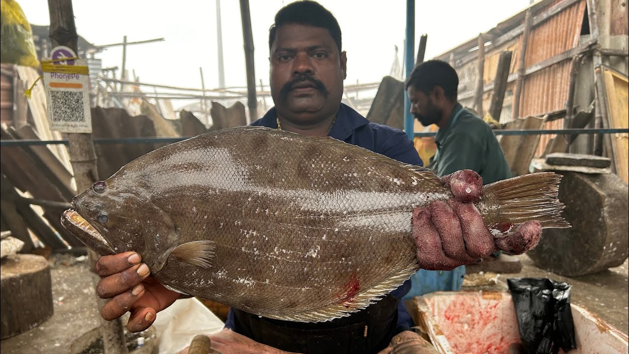 NAKKU (sole) FISH 🐟 KASIMEDU SPEED SELVAM AMAZING FISH CUTTING # ...
