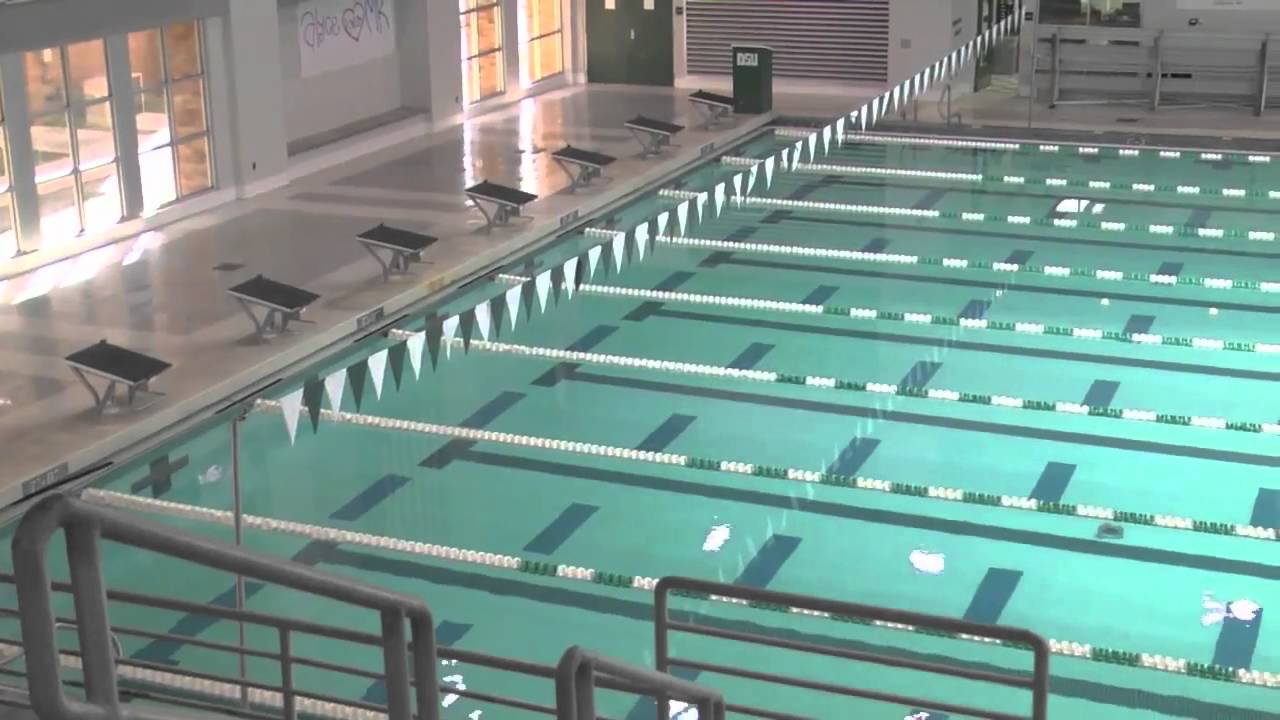 Cisnet Cisac African collective management solidifies united strategy ...