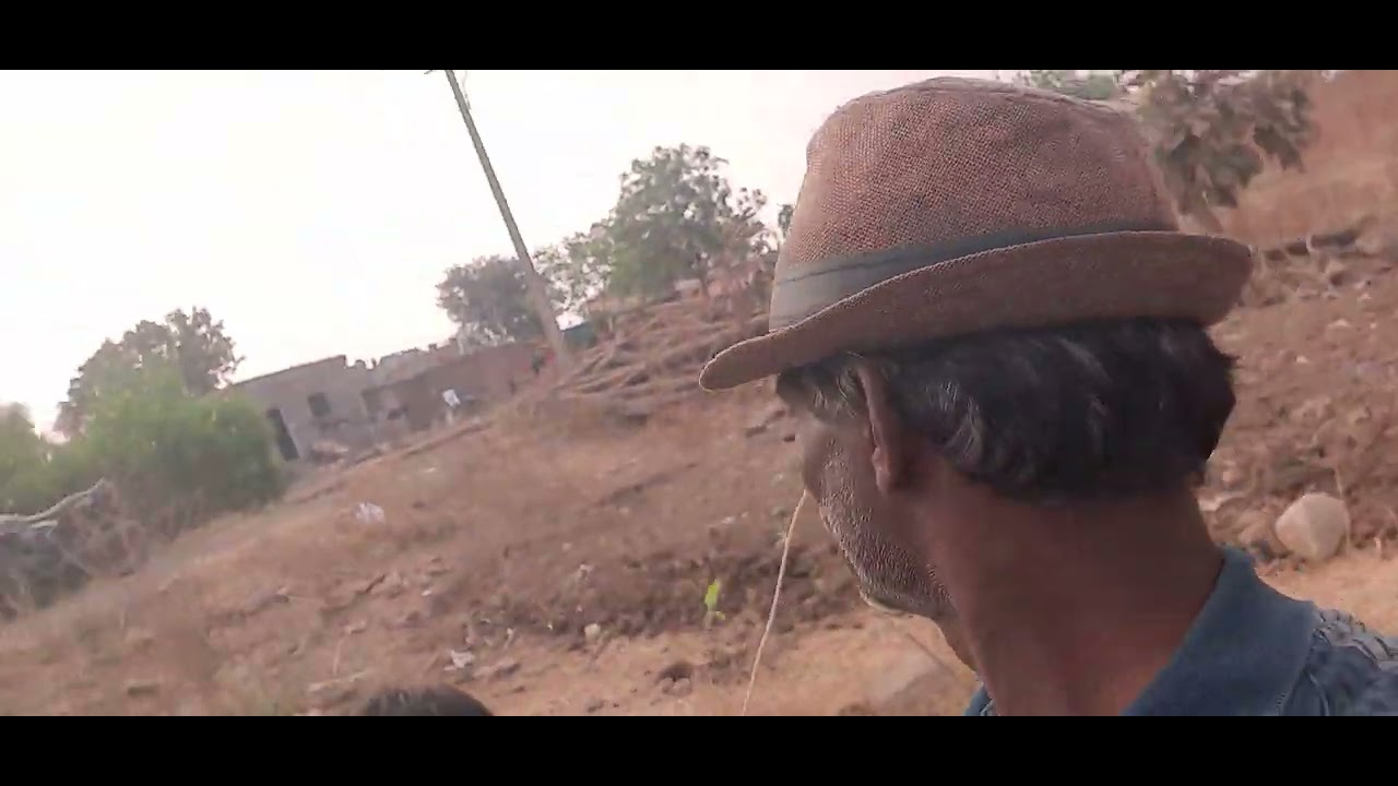 Swastik Plantation at Khandapur, Digras block, Dist Yavatmal - YouTube