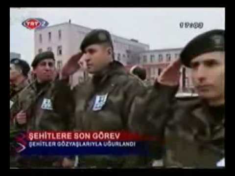 seitler ölmez vata bölünmez