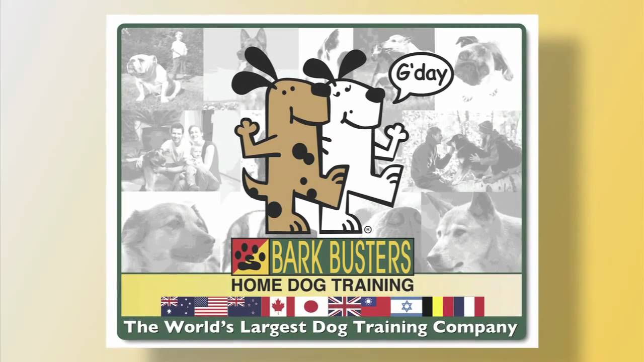 About Us - Bark Busters CEO - YouTube