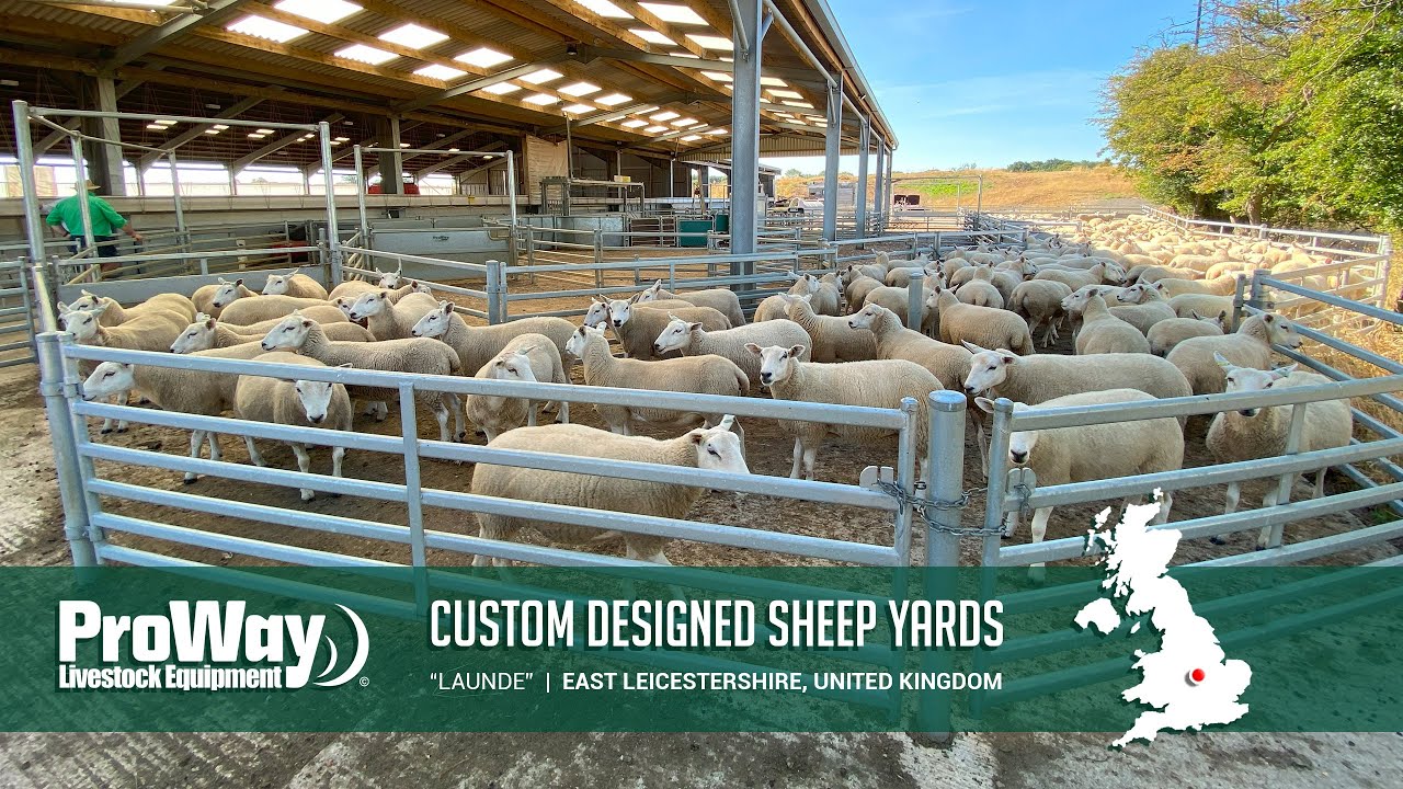ProWay Sheepyards | East Leicestershire United Kingdom - YouTube
