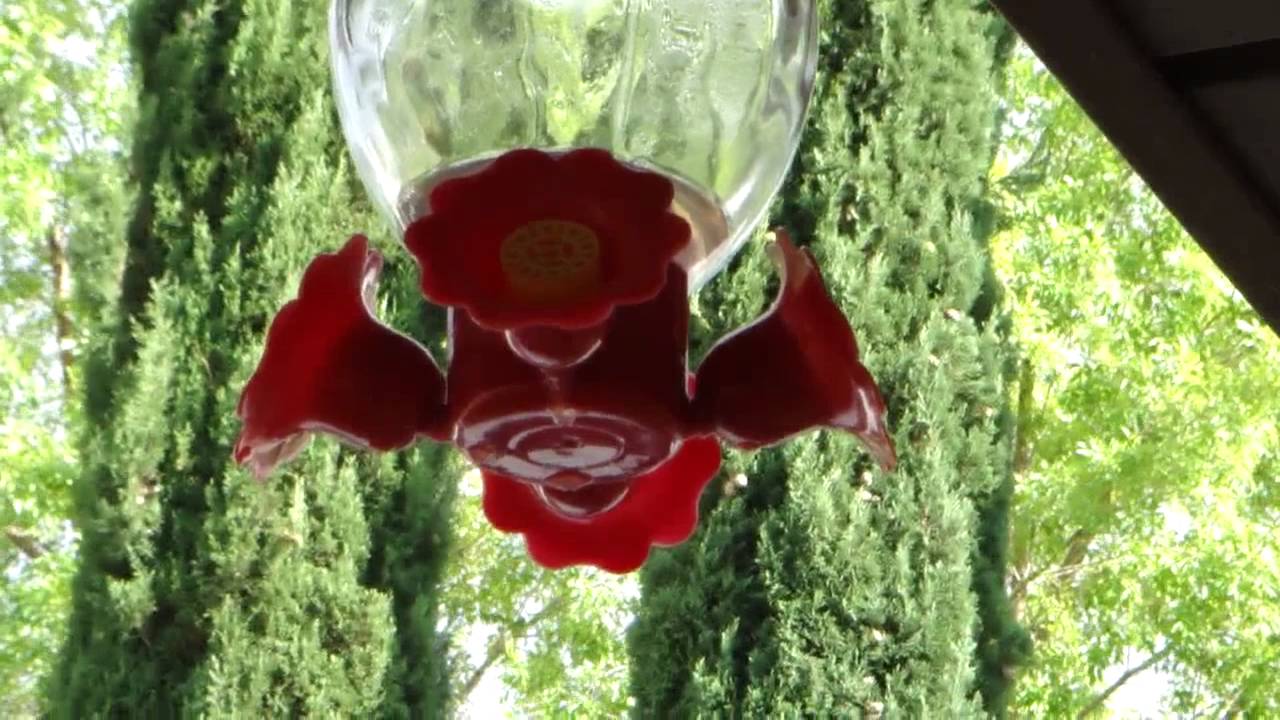 The most random thing ever! - YouTube