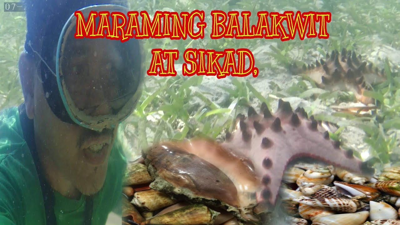 PAANO MANGUHA NG BALAKWIT,, SAHANG (SPIIDER SHELL)#oweboytv - YouTube