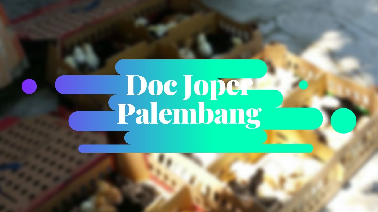 Doc Joper Palembang - YouTube