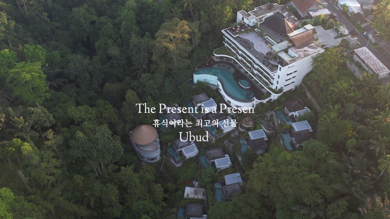 Bali cicada luxury resorts-Ubud 완벽한 정글 계곡뷰 발리 치차다 우붓 - 벨리스윗 풀뷰 룸투어 ...