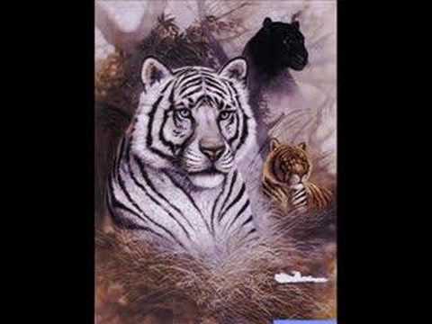 the last emperor-jungle cats