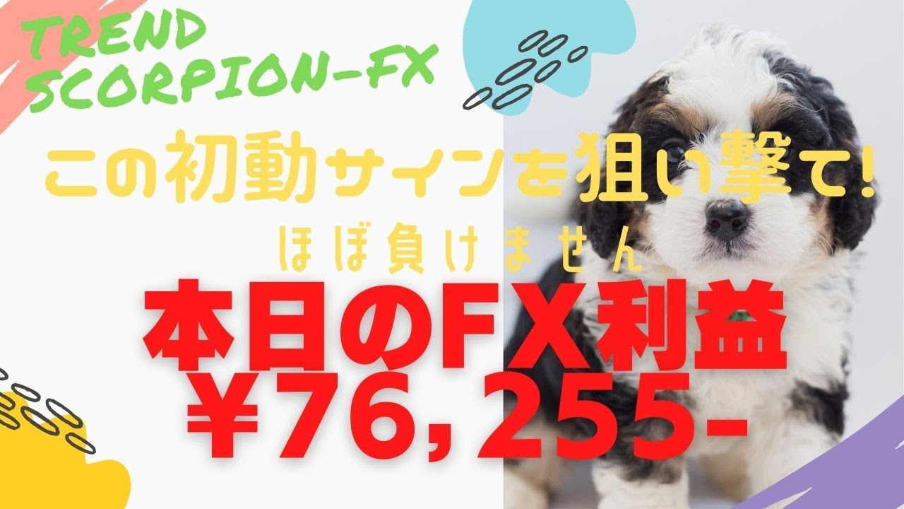 2021/1/12更新！トレンド帯を参考にするだけで7万6255円利確！（FX、BO） - YouTube