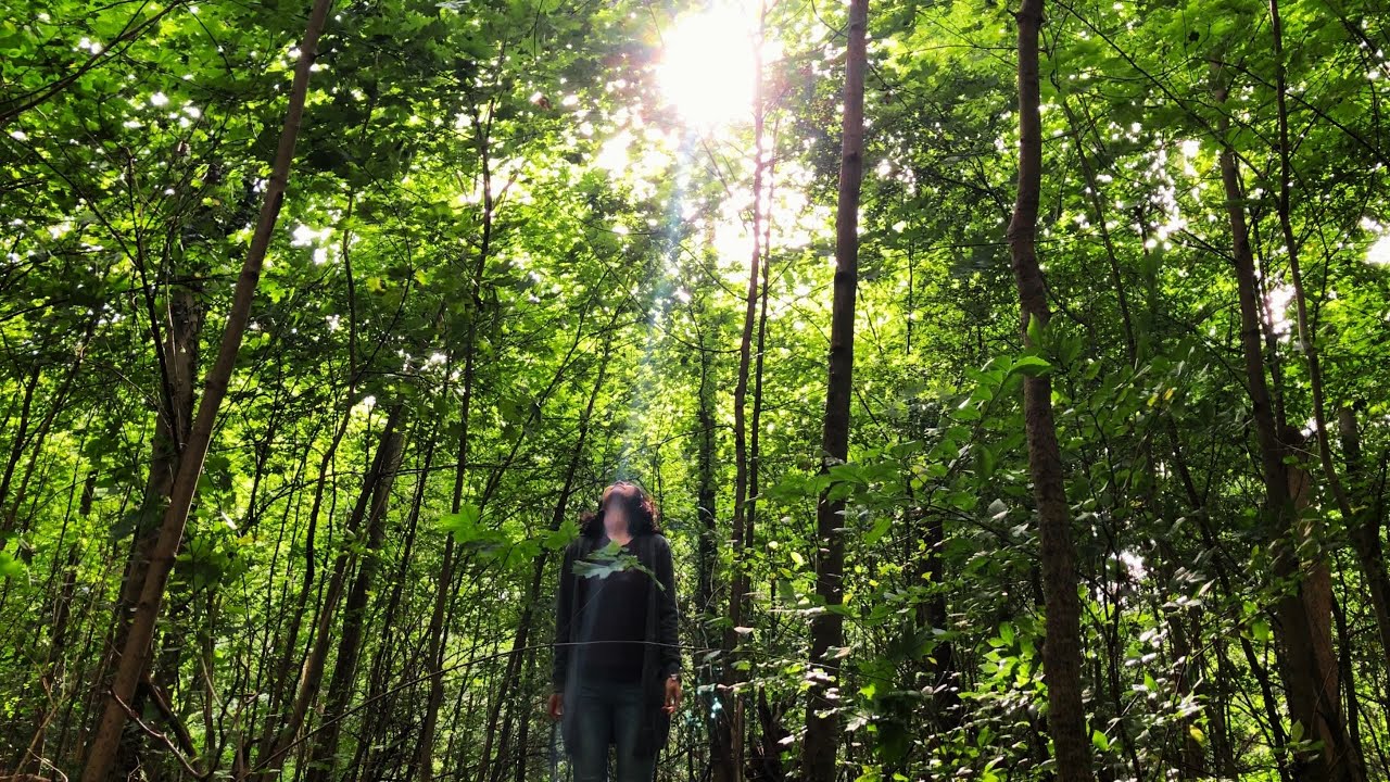 Singing with the Forest - Intuitive Singing | Sound Healing 與森林唱歌 - 直覺 ...