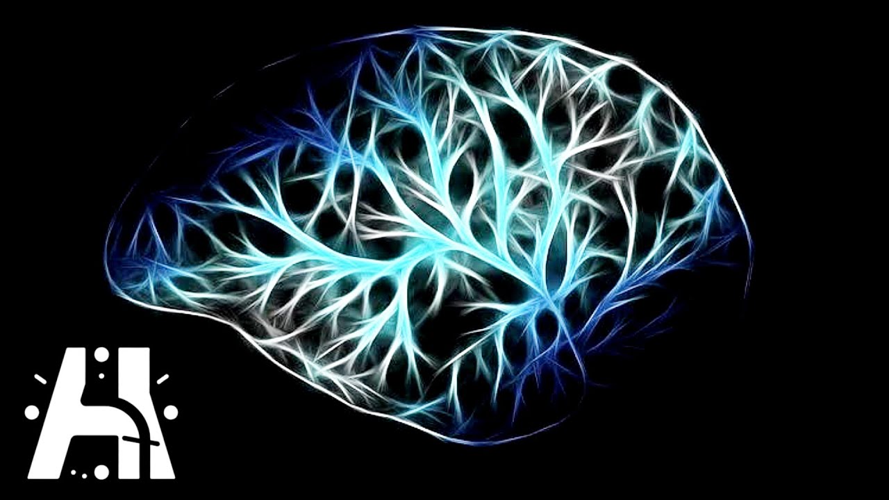 How Physics Explains Human Brain? - YouTube