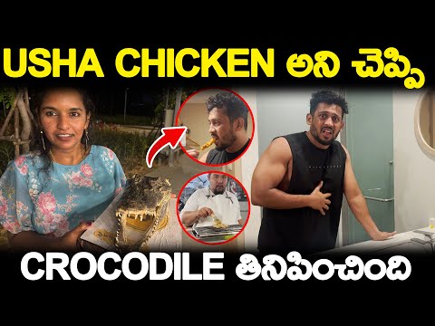 Usha Chicken అని చెప్పి Crocodile తినిపించింది | KUYYA VLOGS
