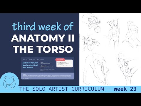 Anatomy of The Torso Progress - Anatomy II - Solo Artist Curriculum ...