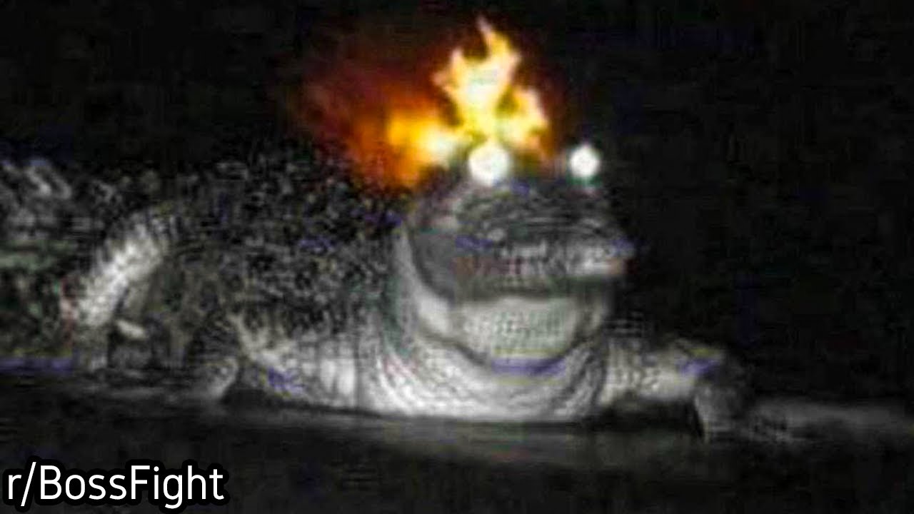 r/BossFight | Florida Got Even More Dangerous - YouTube