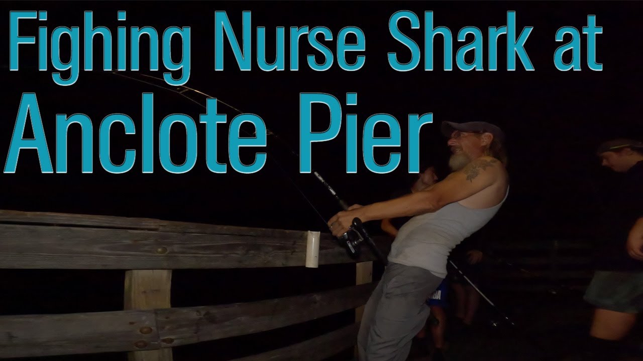 Fighting big Nurse Shark at Anclote Fishing Pier - YouTube