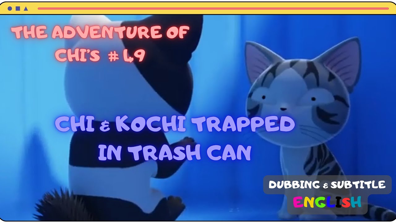 Chi's Sweet Cat Adventure's #Episode49 | Chi & Kochi Trapped In Trash ...
